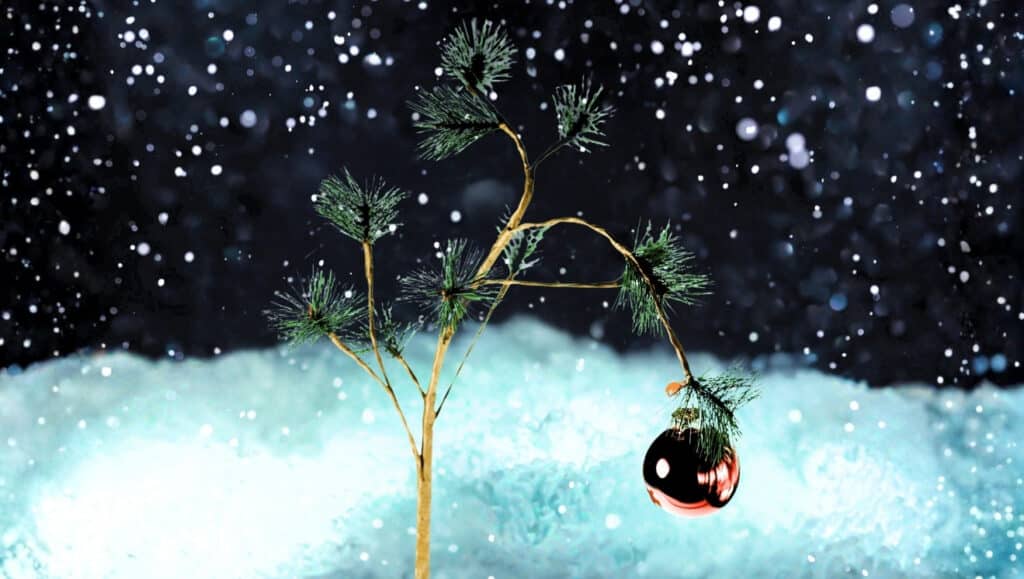 The Key Difference Between the Similar Seasons of Advent and Lent ...