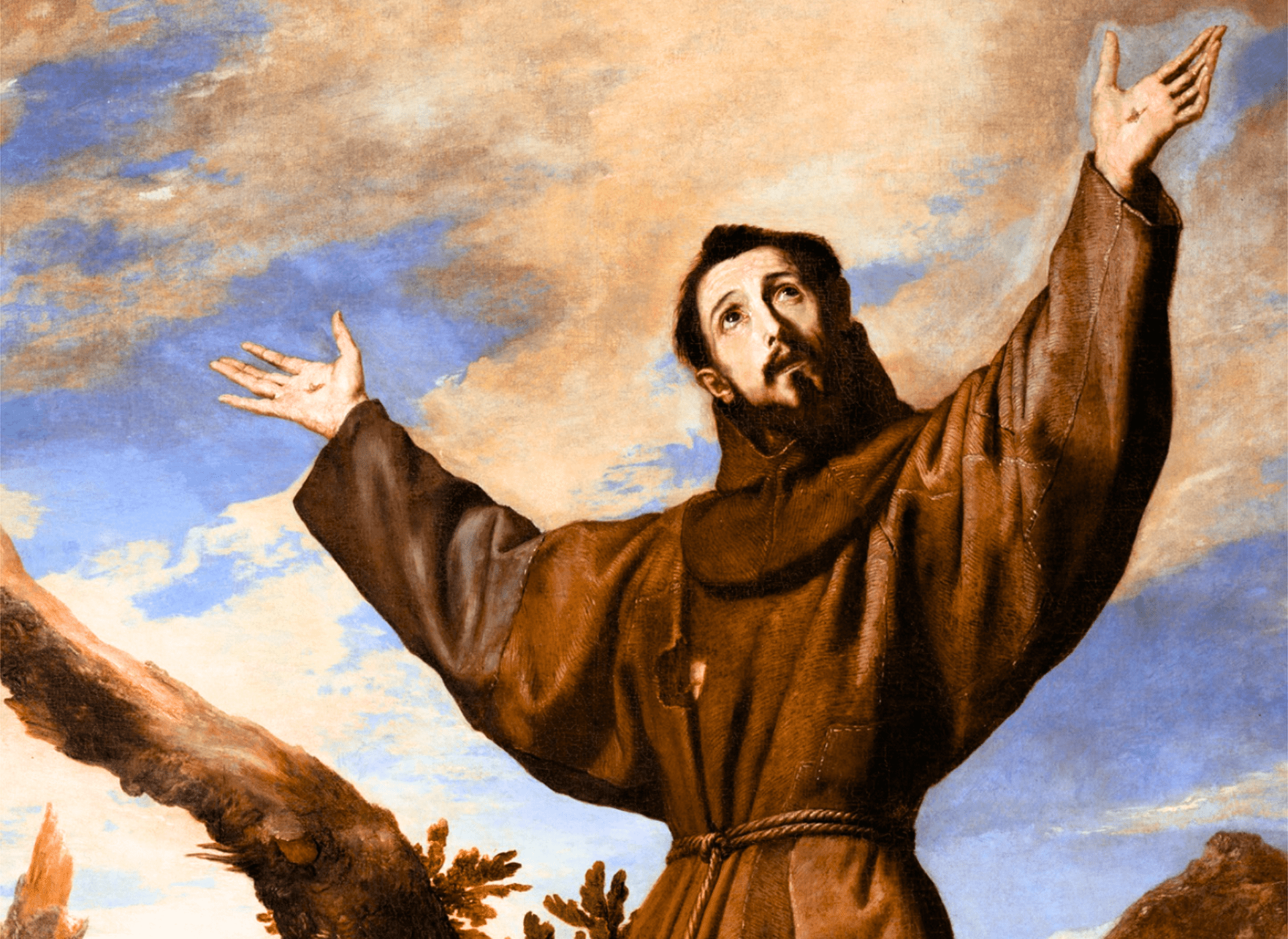 The Feast of St. Francis: A Rookie Anglican Guide - Anglican Compass