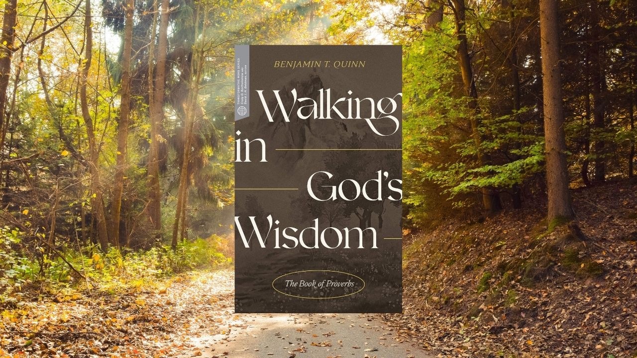 Walking in God’s Wisdom: The Book of Proverbs by Quinn (Review ...